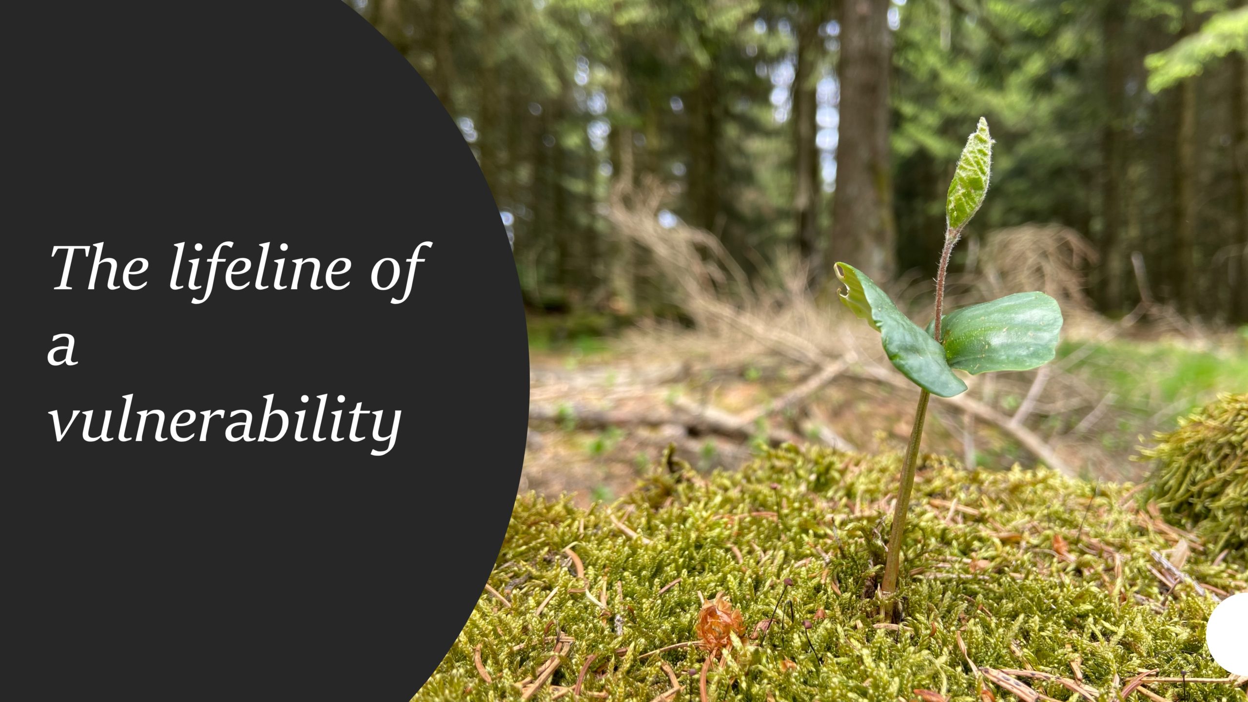 About The Lifecycle Of A Security Vulnerability Foojay