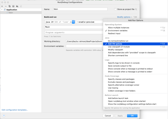 How To Run The Java Incubator Module From The Command Line And IntelliJ 