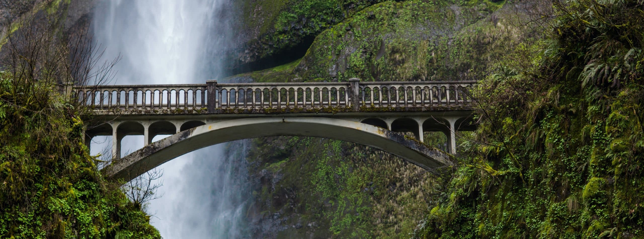 Journeys in Java, Level 9: Docker compose all the things